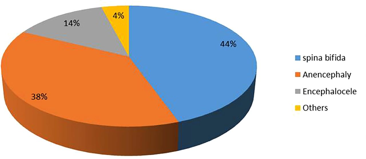 Determinants of neural tube defect among newborns admitted to neonatal ...