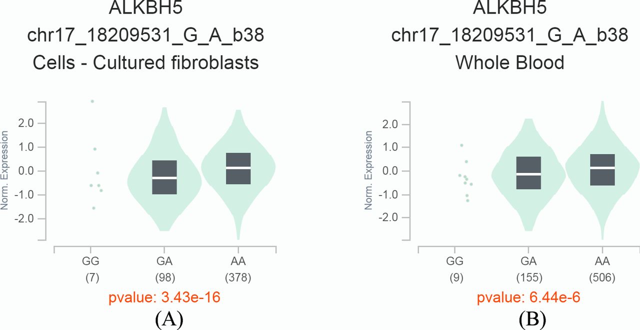 ALKBH5 gene polymorphisms and Wilms tumour susceptibility in children ...